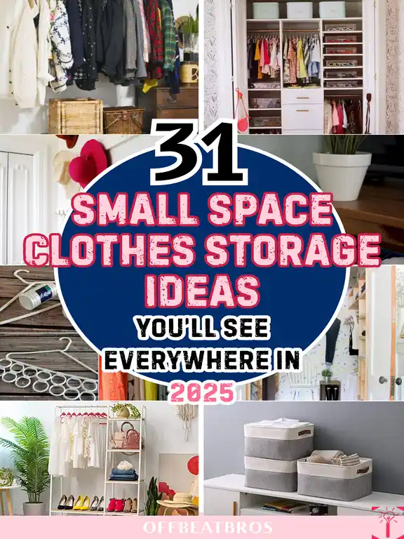 31 Clever Clothes Storage Ideas for Small Spaces – Offbeatbros